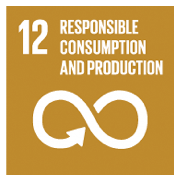 SDG 12: Responsible Consumption and Production