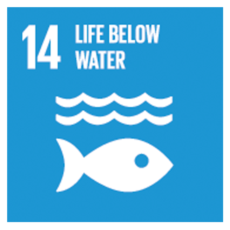 SDG 14: Life Below Water