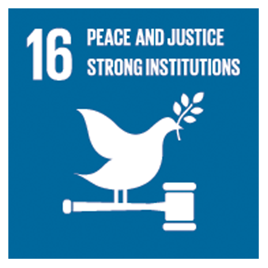 SDG 16: Peace Justice and Strong Institutions