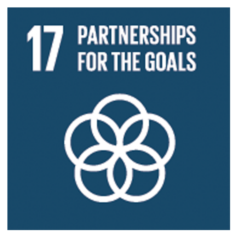 SDG 17: Partnerships for the Goals